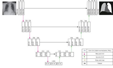 Figure 1 From Deep Learning Based Cardiothoracic Ratio Measurement On