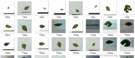 034、test Csdn博客