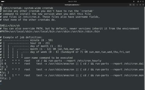 Linux Crontab File Testingdocs