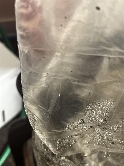 Technique Fruiting Before Complete Colonization Rmushroomgrowers