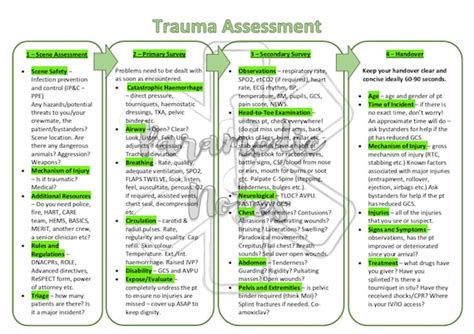 Trauma Assessment Etsy