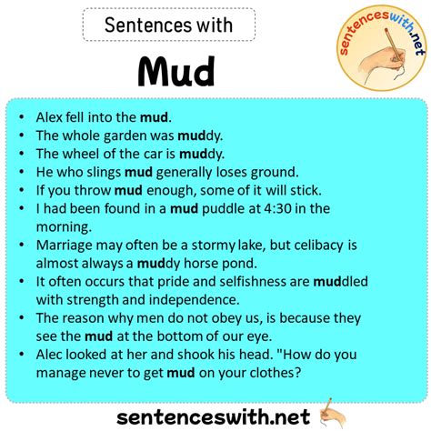 500 Interrogative Sentences Examples Interrogatives In A Sentence Sentenceswith Net