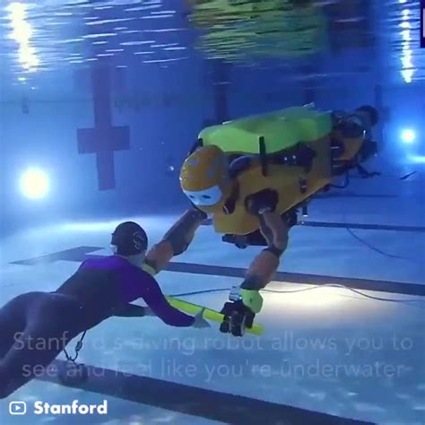 Maria Melkova On Linkedin Stanford Humanoid Robot