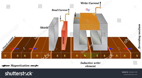 13 Longitudinal Magnetic Field Stock Illustrations Images And Vectors Shutterstock