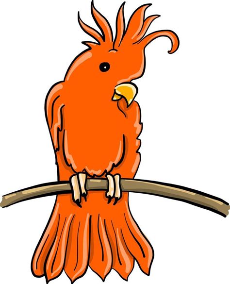 Red Cockatoo Illustration Vector On White Background 13767914 Vector Art At Vecteezy