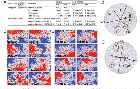 Figure 1 From Integration Of Transcriptomics And Metabolomics For