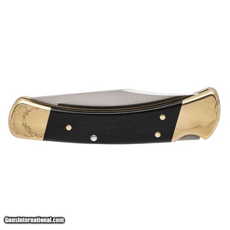 Buck 110 Folding Hunter Knife Mew3849