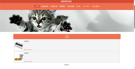 基于springboot的宠物领养系统java毕业设计从戎源码网从戎源码网