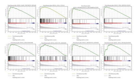 Gene Sets Of The High Risk Group Download Scientific Diagram