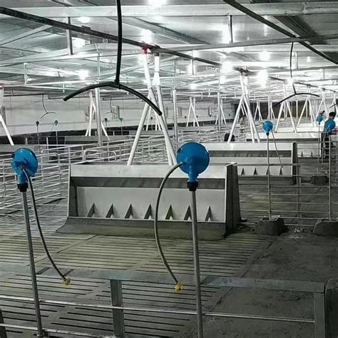 牧润农牧 猪场料线 智能喂料器 猪用液态饲喂系统