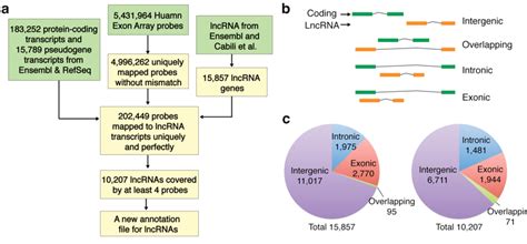 Welcome To Lncrna Data Repository