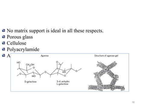Affinity Chromatography Principles And Applications Ppt Chemistry Science