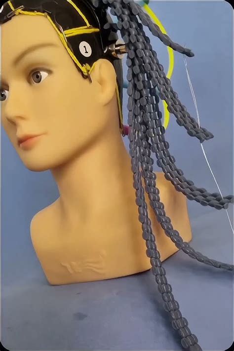 헤어컷의 구조와 형태 Youtube