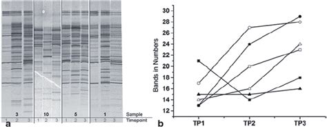 Diversity Analysis A Pcr Dgge Fingerprinting Of 16s Rdna Coding
