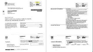 Irs Form Cp504b Us Tax Review