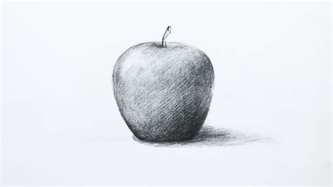 How To Sketch An Apple Apple Sketch Apple Picture Apple Art