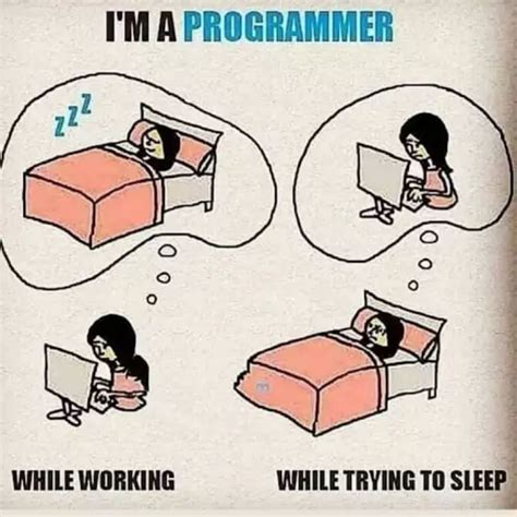 marije kromkamp on linkedin the programmer life cycle…