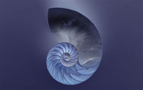 Propis Zikrova Koji Ukazuju Na Ittihad I Panteizam Vahdetul Vudžud Vjerovanje Bošnjaka