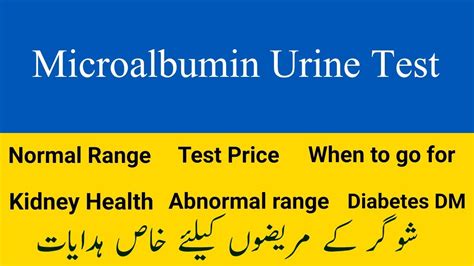 Microalbumin Urine Test For Diabetes Mellitus Albumin Proteinuria