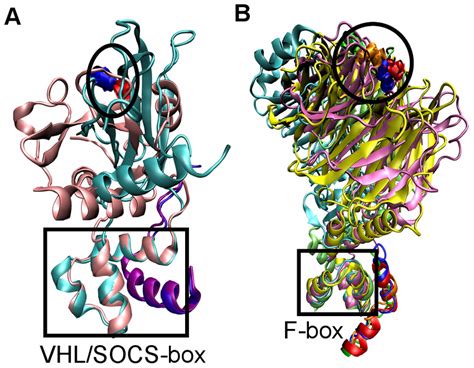 Structure Superimposition Of Substrate Binding Proteins A