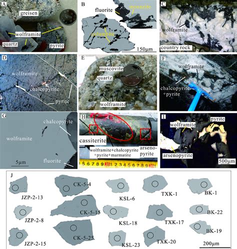 Photographs Showing Wolframite And The Paragenetic Sequence Of
