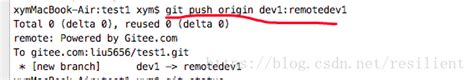 Git新建一个分支并且推送到远程新建本地分支推到远程 Csdn博客