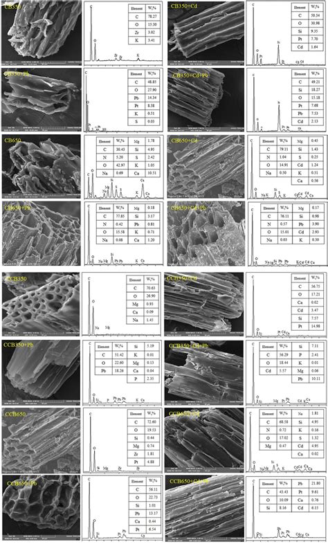 Sem Images Left And Corresponding Eds Spectra Right Of Fresh And