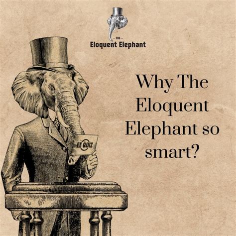 The Eloquent Elephant Taj Dubai The Eloquent Elephant Taj Dubai