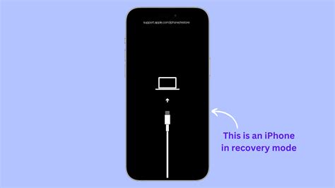 为什么以及如何将 Iphone 或 Ipad 置于恢复模式
