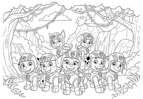 Paw Patrol Color Wonder Druckseite Für Kinder