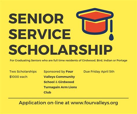 High Babe Community Service Scholarships