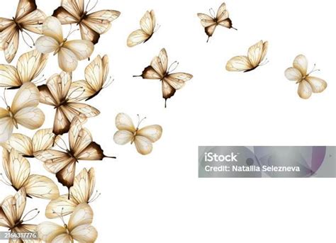 프레임 Boho 나비와 템플릿 수채화 손 그려진 베이지색 곤충 클립 아트 절연 통하고 있는 배경 식물 및 결혼식 그림 디자이너 초대장 장식 엽서 포장지 스크랩북 커버