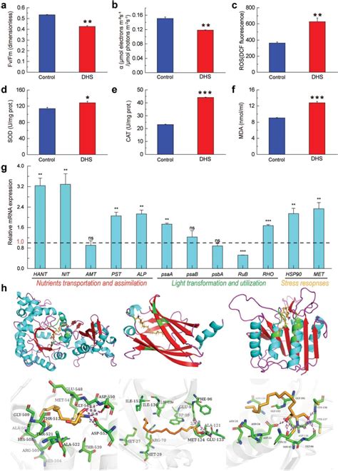 【派森诺多组学项目文章】if 15 1 ！转录组联合代谢组，鉴定出新型天然除藻剂 鞘氨醇类天然分子 知乎
