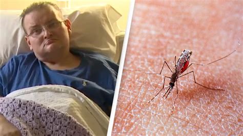 Conneticut Man Dies After Mosquito Bite Led To Rare Brain Disease