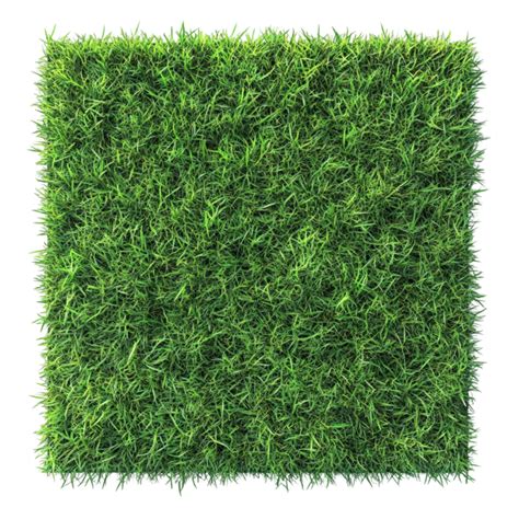 Grass Green Patch Ai Generative 49223456 Png
