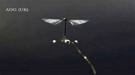 Robotic Insect Worlds Smallest Flying Robot Takes Off 2013 Hd Youtube