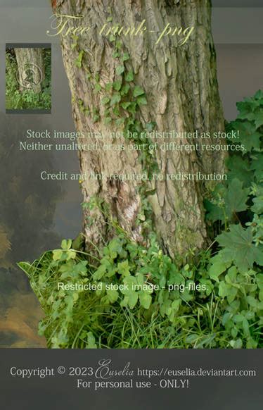 Dark Night By Euselia On DeviantArt