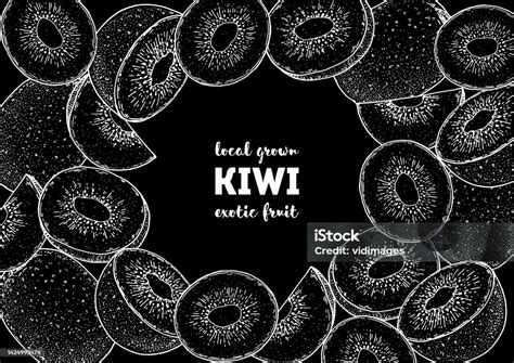 키위 과일 손으로 그린 프레임 스케치 스타일입니다 벡터 그림입니다 디자인 패키지 브로셔 일러스트레이션 손으로 그린 키위 과일 디자인 템플릿 유기농 신선한 음식 벡터 일러스트