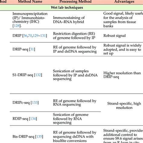 Diagnostic Tools Used To Detect R Loops And R Loop Binding Proteins