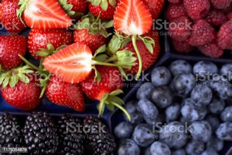 단단한 콘크리트 배경에 별도의 접시에 딸기 라즈베리 블루 베리 블랙 베리 건강한 식습관 비건 음식 높은 다이어트 식품 건강한 식생활에 대한 스톡 사진 및 기타 이미지