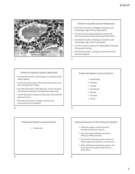 Pdf 13 Endocrine System Copy · Embryologic Origin Of The Thyroid Gland • List