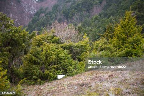 그리스에서 올림포스 근처 자연입니다 올림푸스는 고 대 그리스 신화에서 12 Olympians 신 집 0명에 대한 스톡 사진 및 기타 이미지 Istock