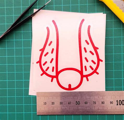 Tail Light Dick Sticker New Zealand Made Die Cut Vinyl Decal Transfer