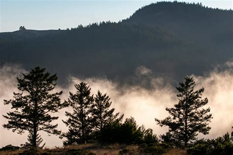 푸른 나무에 둘러싸인 갈색 목조 주택 · 무료 스톡 사진