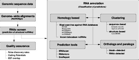 Overview Of The Computational Workflow Download Scientific Diagram