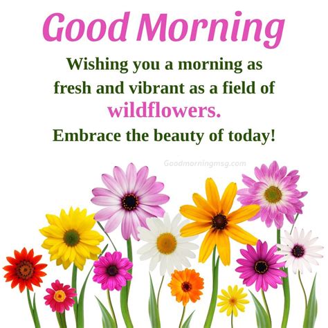 Morning Flower Quotes Hd Good Morning Rose Flower Images With Love