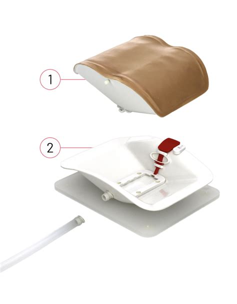 10 Realspine Basic Endo Realists