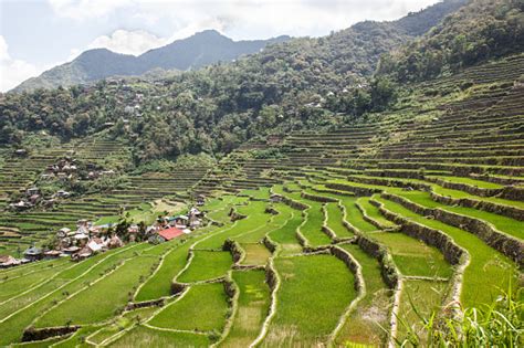 Batad 라이스 필드 테라스 Ifugao 지방 바 필리핀에서 0명에 대한 스톡 사진 및 기타 이미지 0명 Unesco