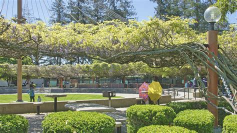 Santa Clara Central Park Tclf