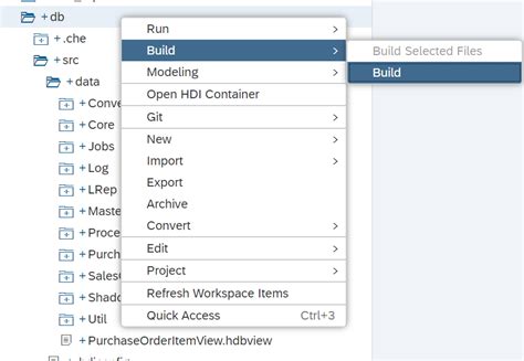 Import Tables And Large Datasets Xs Advanced Sap Tutorials